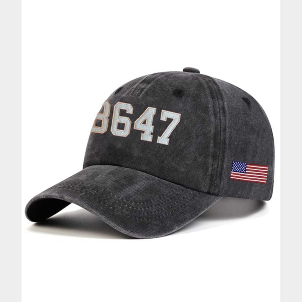 8647 Trump America Hat