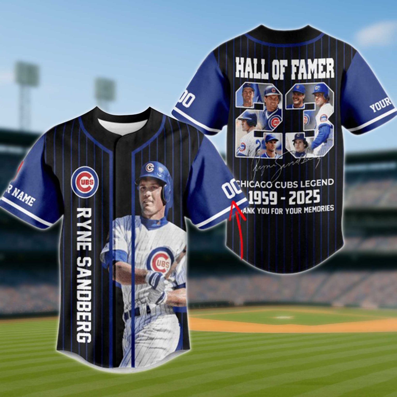 Chicago Cubs Ryne Forever In Our Jersey 2025